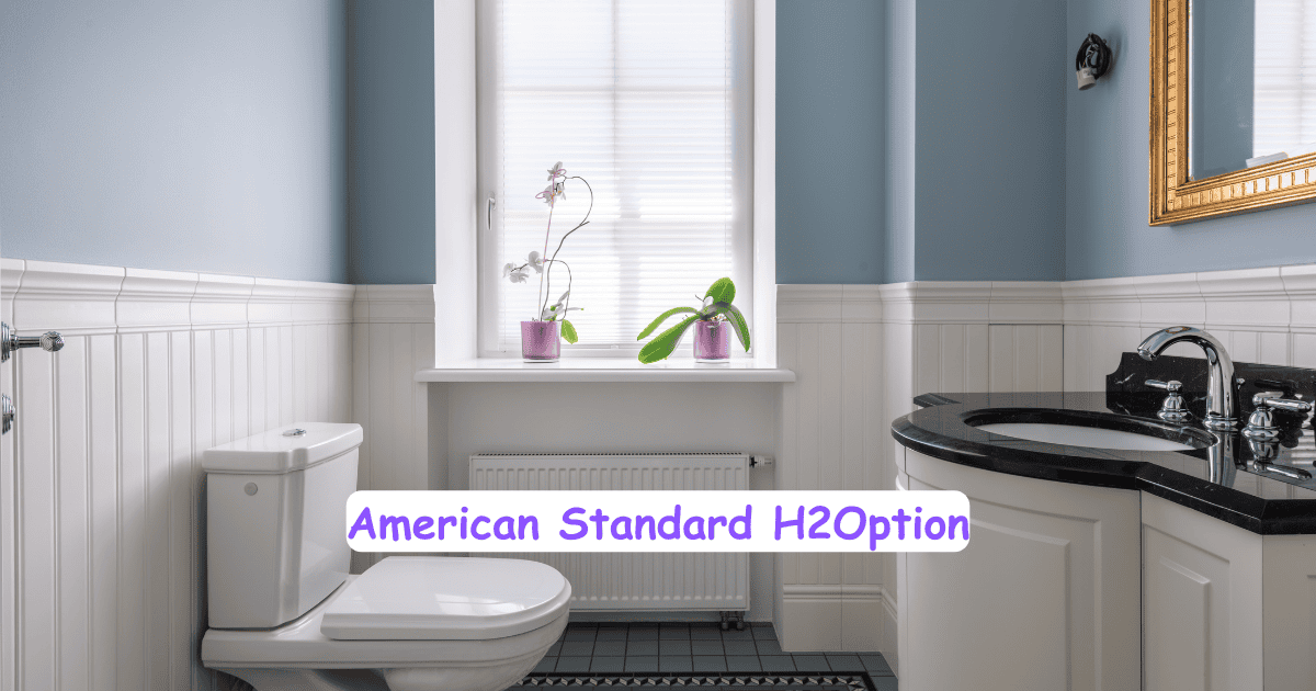 12 Best Quiet Flush Toilets for a Calm Bathroom Environment